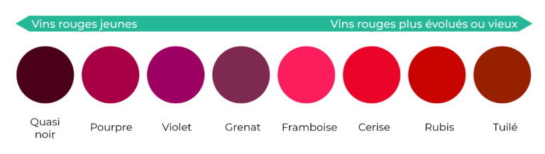 Comment organiser sa propre soirée dégustation vin à la maison ? - V ...